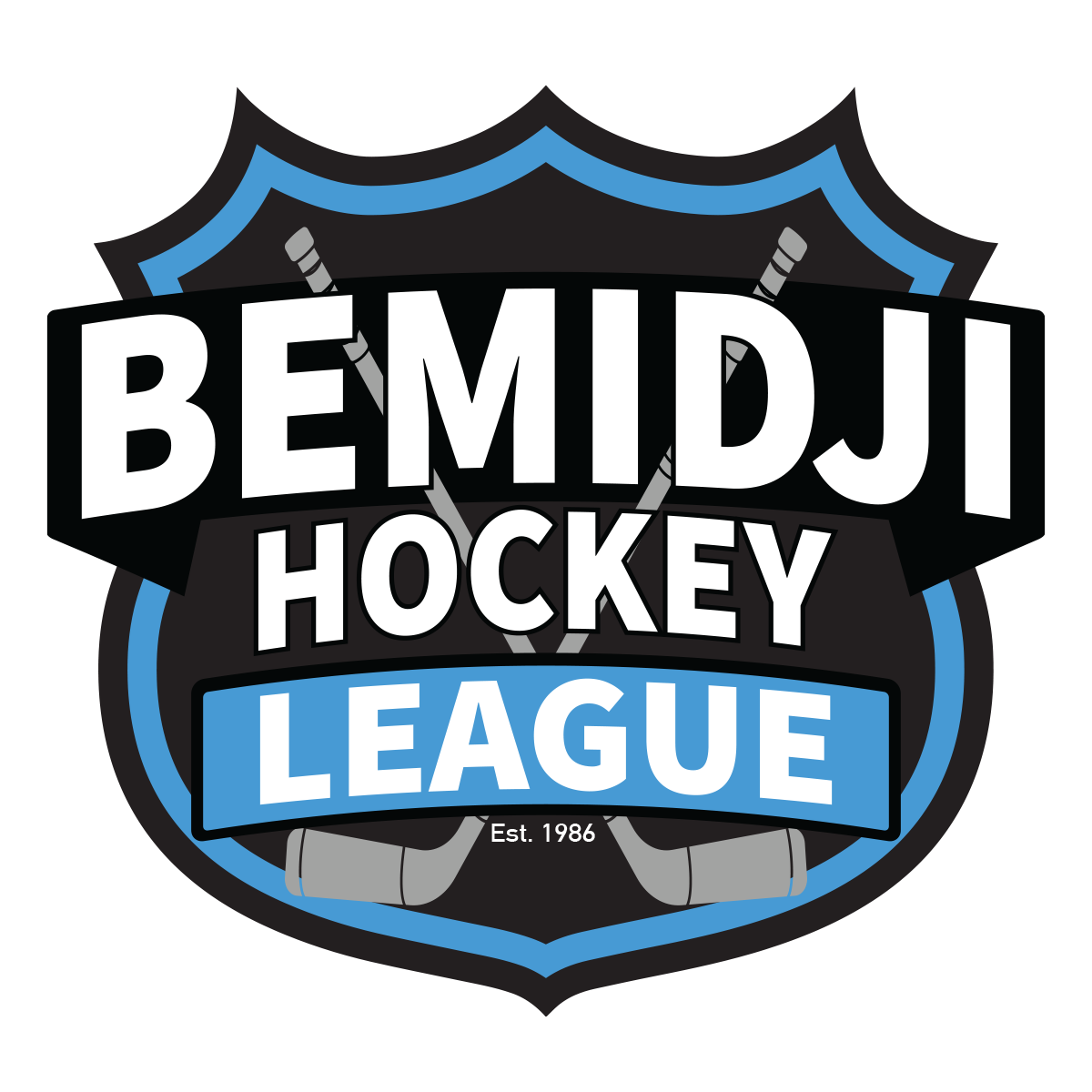 Bemidji Hockey League Schedule